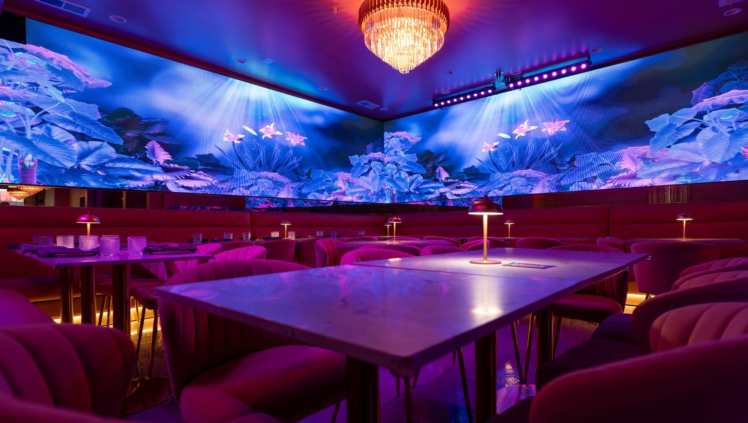 After 25 years, Kit Kat Club embraces new location and new identity ...