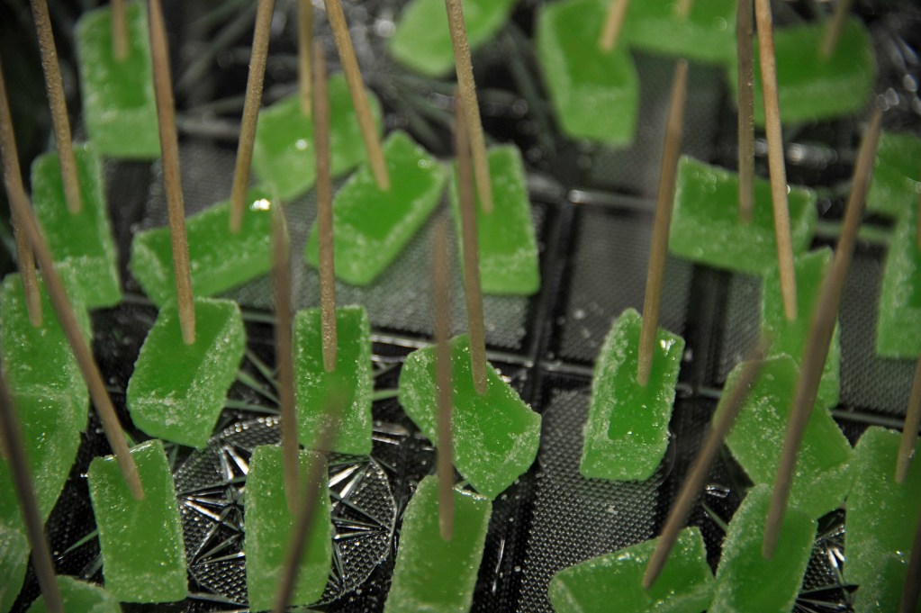 CBGMC's Love Fest focuses on multiple pleasures for 2025 - Windy City Times